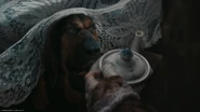 Bayard | Disney Wiki | Fandom
