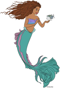 Ariel Gallery Disney Wiki The Little Mermaid Disney – Ryan La Sala