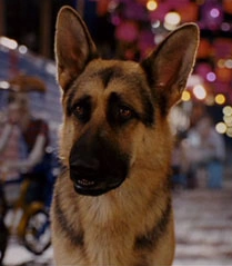 Delgado | Disney Wiki | Fandom