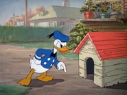 Donald's Dog Laundry | Disney Wiki | Fandom