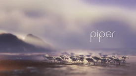 Piper | Disney wiki | Fandom