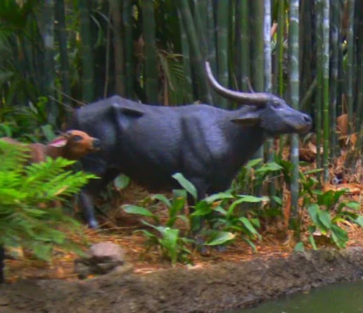 Water Buffalos | Disney Wiki | Fandom
