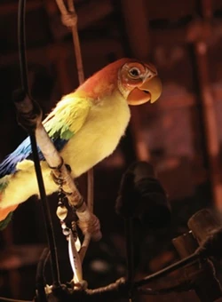 José | Disney Wiki | Fandom