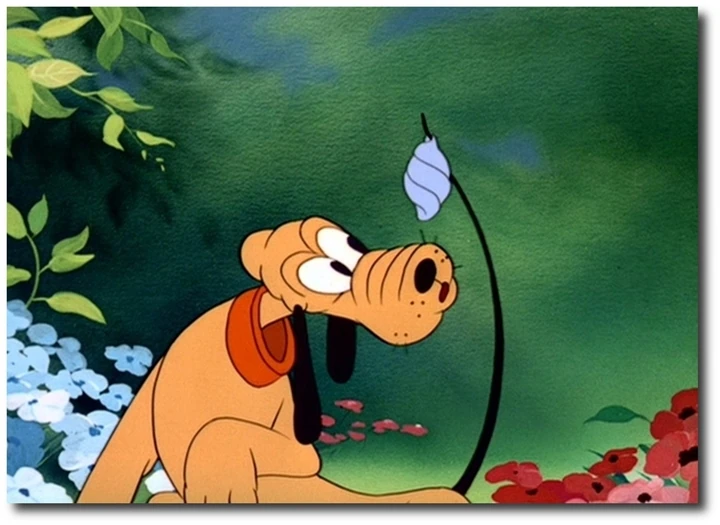 Disney Channel Dog Butterfly