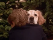 Peter Seaver | Disney Wiki | Fandom