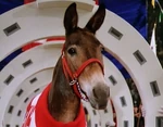 Gus | Disney Wiki | Fandom