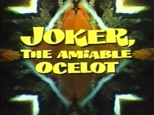 Joker, the Amiable Ocelot | Disney Wiki | Fandom