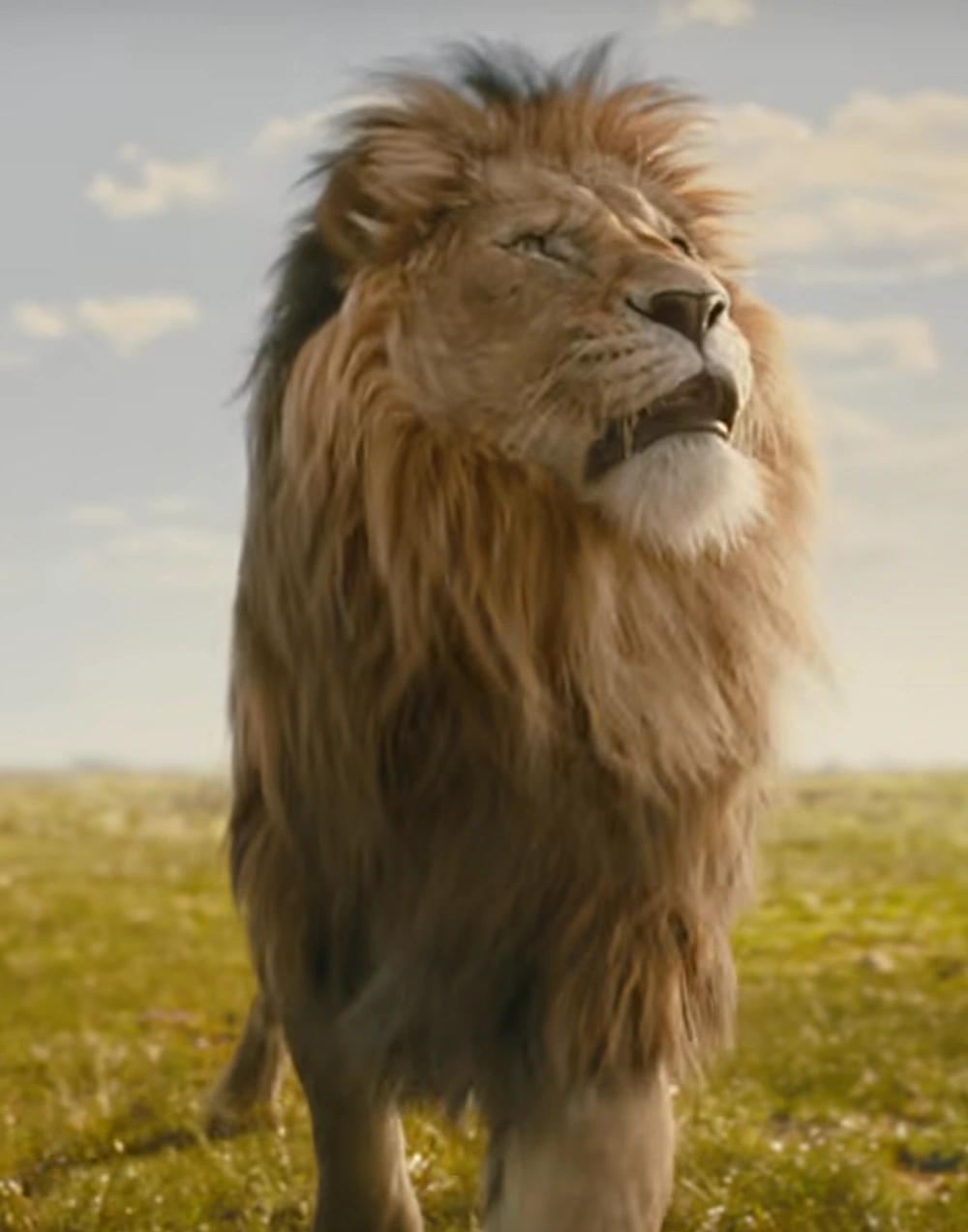 Obasi | Disney Wiki | Fandom