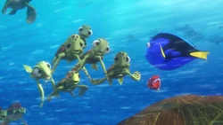 Finding Nemo Baby Turtles