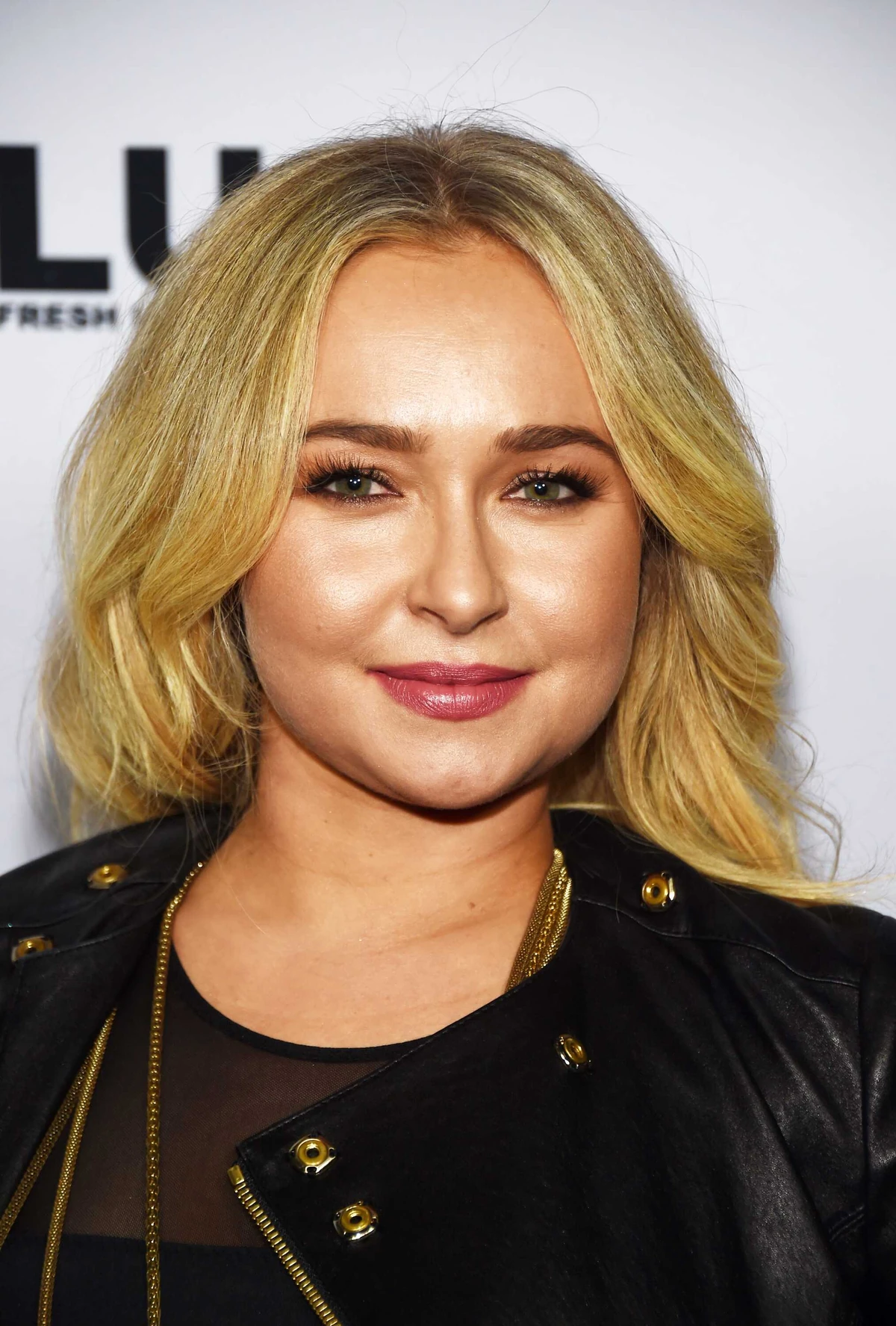 Hayden Panettiere | Disney Wiki | Fandom