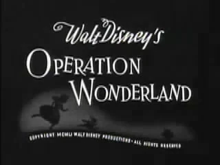 Operation Wonderland | Disney Wiki | Fandom