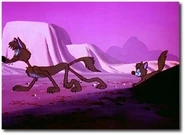 Sheep Dog | Disney Wiki | Fandom