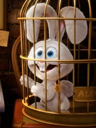 Doug Sweetland | Disney Wiki | Fandom