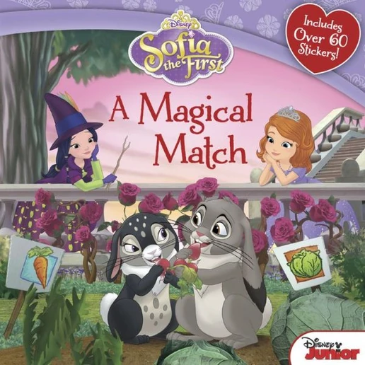 A Magical Match | Disney Wiki | Fandom