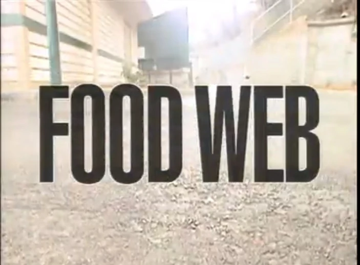 Food Web | Disney Wiki | Fandom