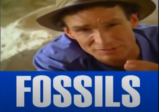 Fossils | Disney Wiki | Fandom
