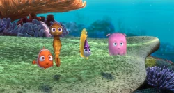 Alla Ricerca Di Nemo Tad Pearl Sheldon
