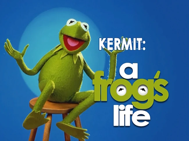 Pepe's Profiles | Disney Wiki | Fandom