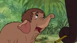 Hathi, Jr./Gallery | Disney Wiki | Fandom