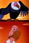 Contrary Condor | Disney Wiki | Fandom