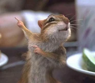 Pip | Disney Wiki | Fandom