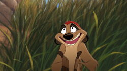 Timon | Disney Wiki | Fandom