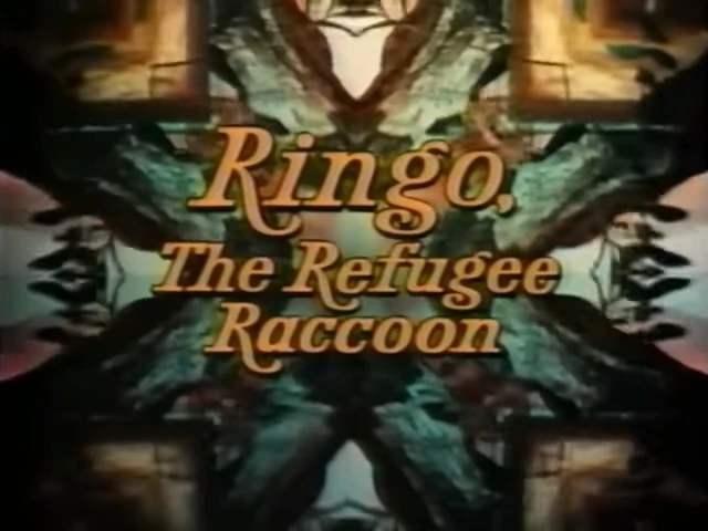 Ringo, the Refugee Raccoon | Disney Wiki | Fandom
