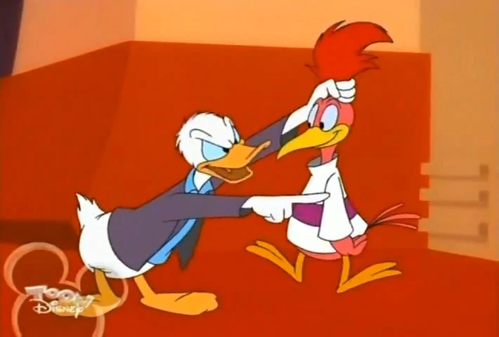 Donald and the Aracuan Bird | Disney Wiki | Fandom
