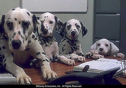 What Are The Dogs Names In 102 Dalmatians