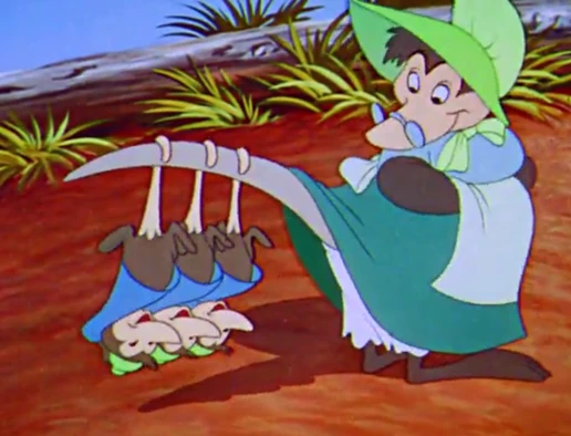 Miss Possum | Disney Wiki | Fandom