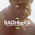 Bagheera | Disney Wiki | Fandom
