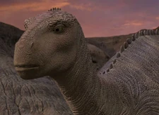 Neera | Disney Wiki | Fandom