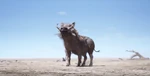 Pumbaa (The Lion King 2019)/Gallery | Disney Wiki | Fandom