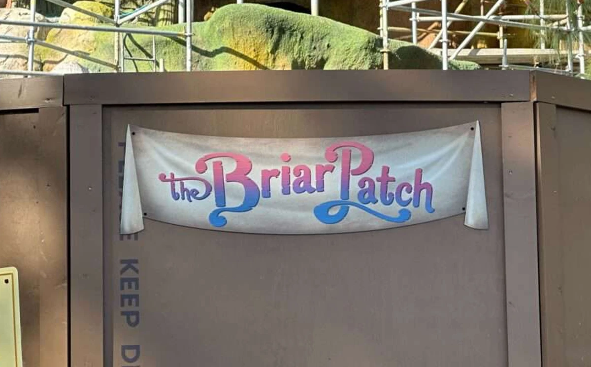 The Briar Patch | Disney Wiki | Fandom