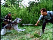 White Fang | Disney Wiki | Fandom