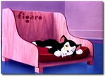 Cat Nap Pluto | Disney Wiki | Fandom