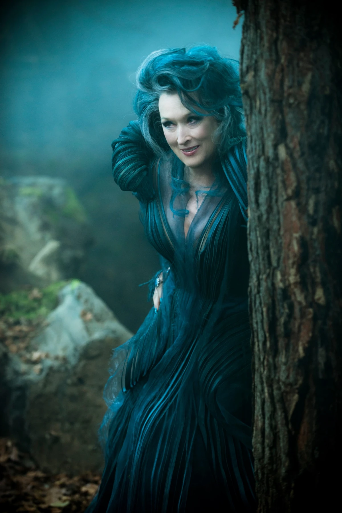 Die Hexe (Into the Woods) | Disney Wiki | Fandom