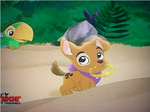 Patch the Pirate Pup | Disney Wiki | Fandom