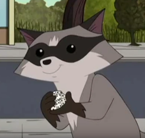 Recurring Raccoon | Disney Wiki | Fandom