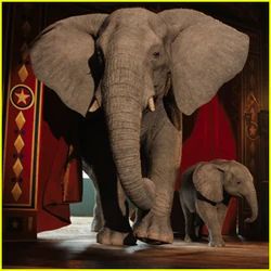 The One And Only Ivan Stella