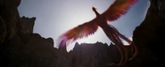 Phoenix | Disney Wiki | Fandom