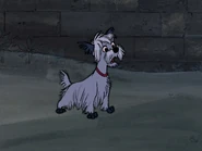 Scottie | Disney Wiki | Fandom