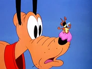 Bubble Bee | Disney Wiki | Fandom