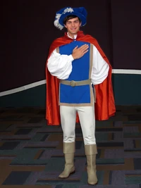 Prince Costumes Through the Years | Disney Wiki | Fandom