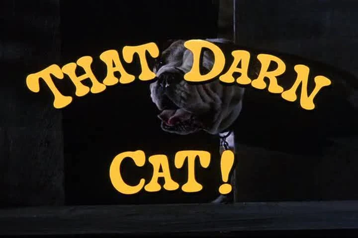 That Darn Cat! (Theme Song) | Disney Wiki | Fandom