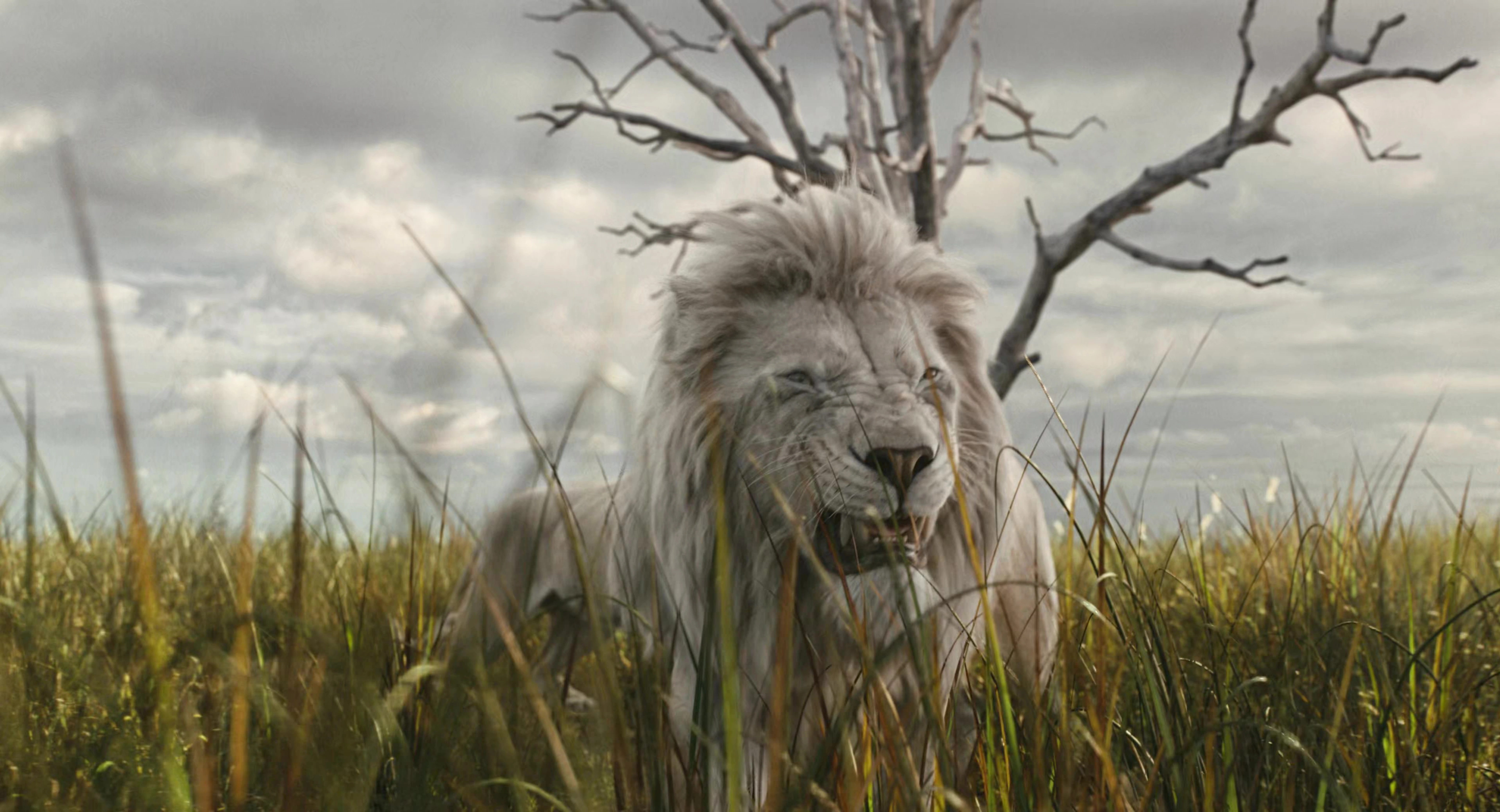 Shaju | Disney Wiki | Fandom