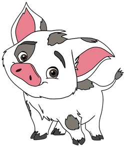 Different Styles Of Pua