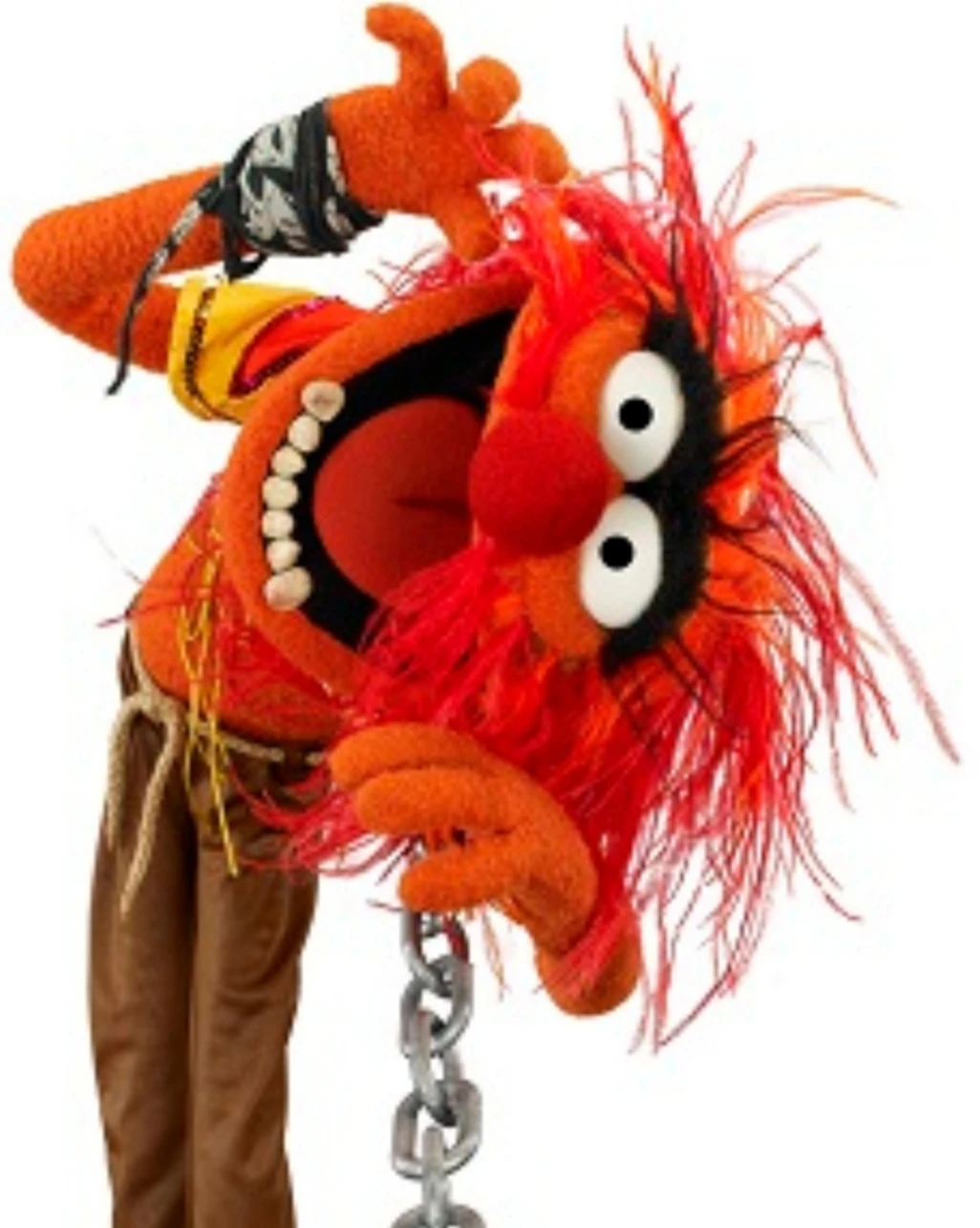 Animal | Disney Wiki | Fandom