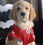 Budderball | Disney Wiki | Fandom