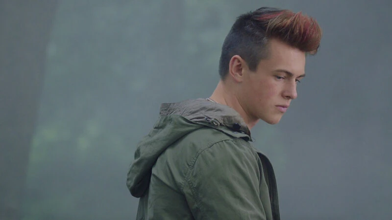 No Life Crisis | Disney Wiki | Fandom